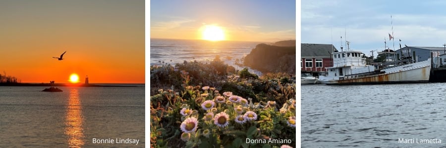 MSCU's Photo Calendar Contest Winners